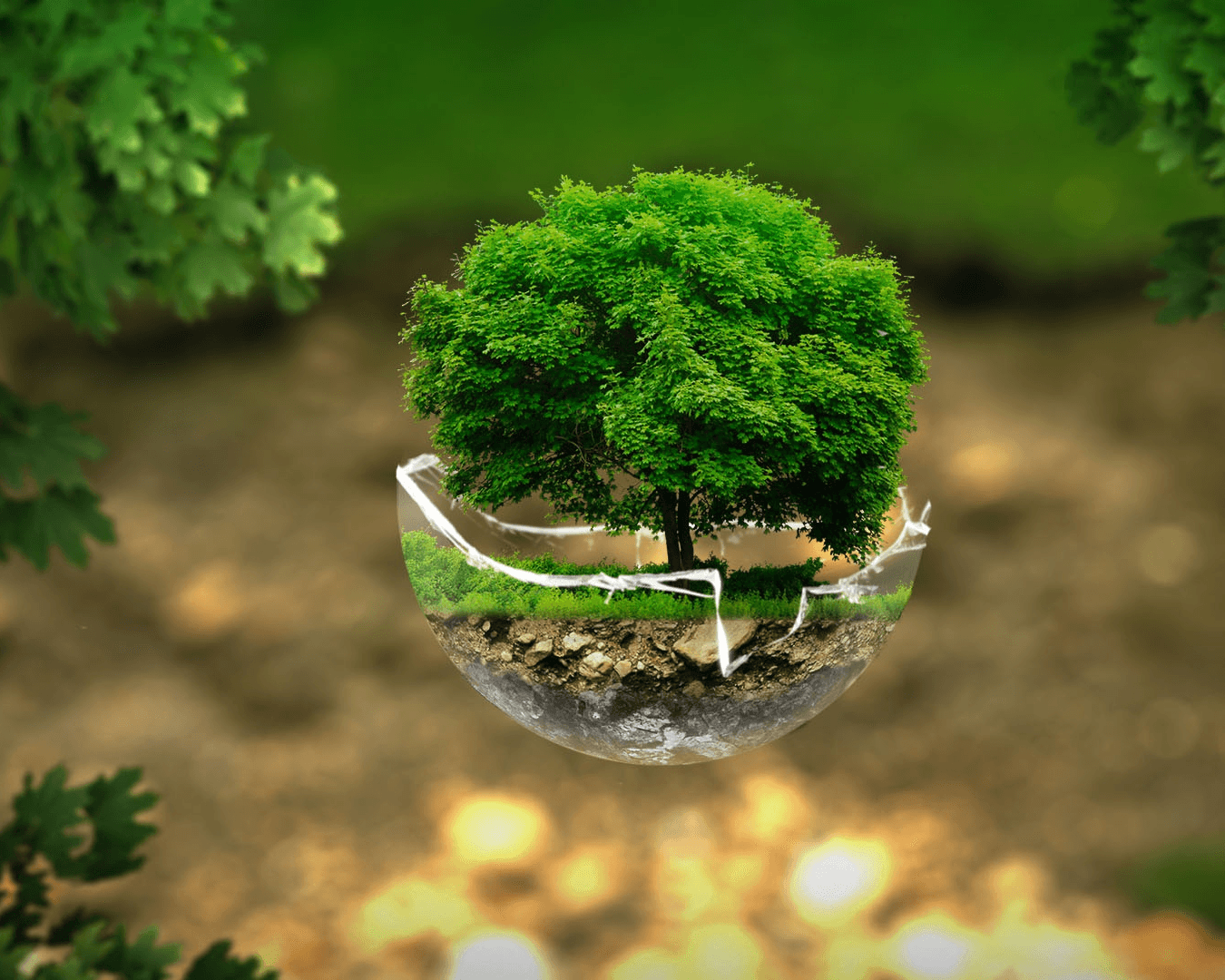 Formação ESG com ISO IWA 48:2024 - Princípios, KPIs e relatórios no ...